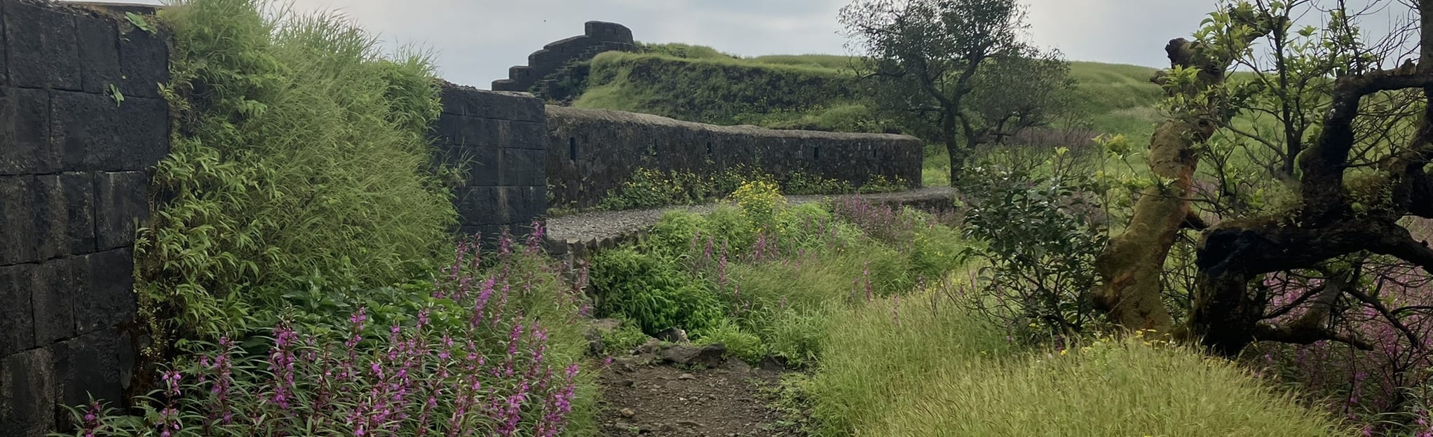 Korigad Fort via Aamby Valley: 2 Reviews, Map - Maharashtra, India ...