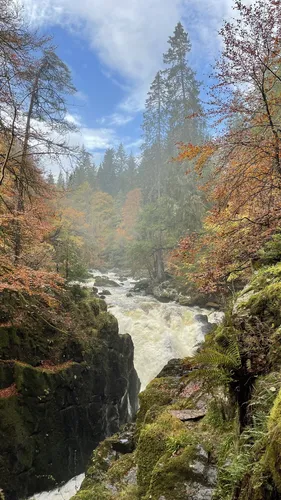 10 Best Trails, Walks, and Paths in Dunkeld | AllTrails
