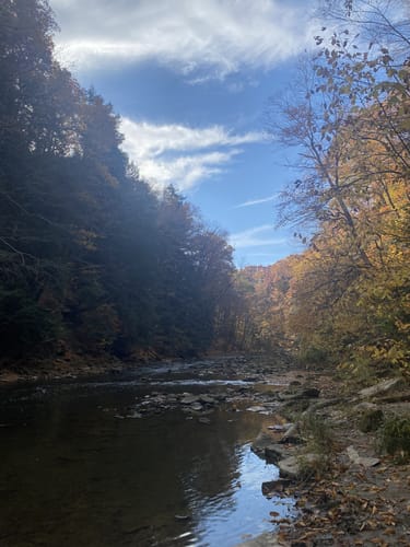 Best 10 Hikes and Trails in South Chagrin Reservation | AllTrails