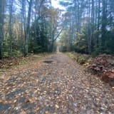 Quabbin Reservoir via Gate 40, Massachusetts - 204 Reviews, Map | AllTrails