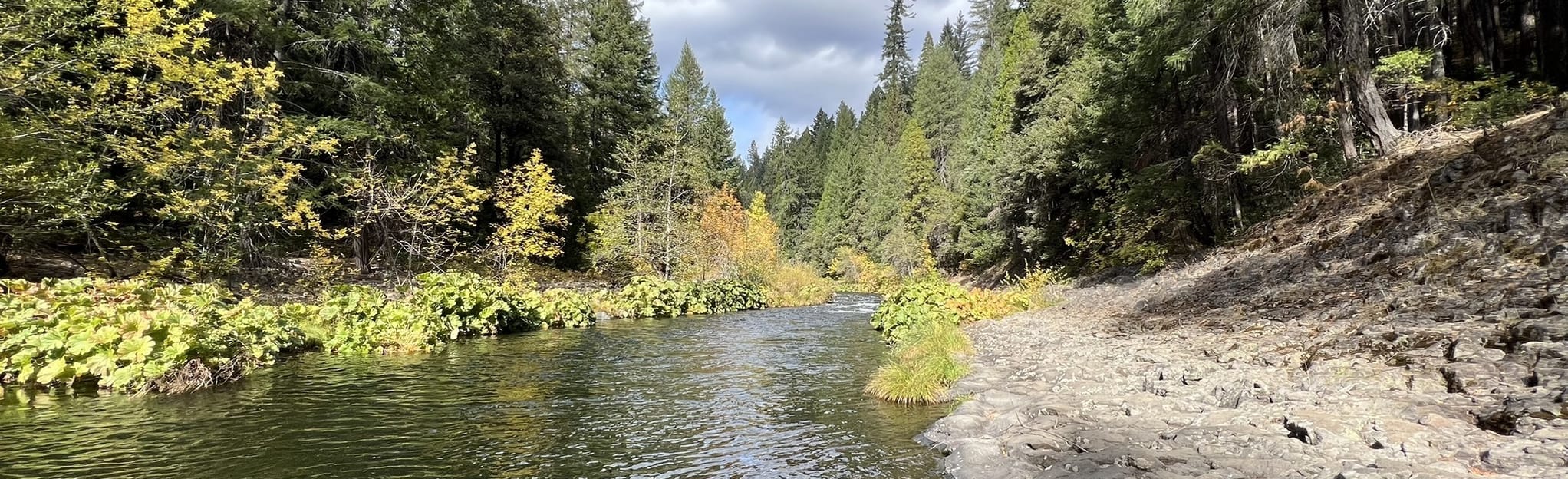 Upper Sacramento River Trail: 192 foto's - Californië | Wandelen ...