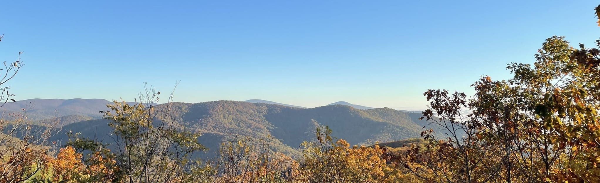 Buck Ridge Trail: 59 Reviews, Map - Virginia | AllTrails