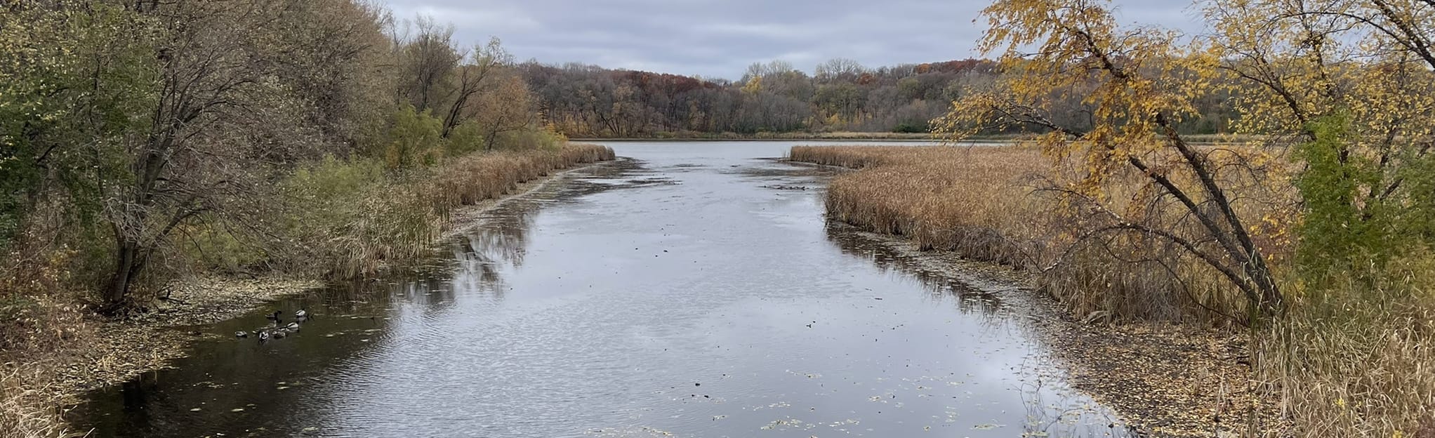 French Beach Loop, Minnesota - 319 Reviews, Map | AllTrails
