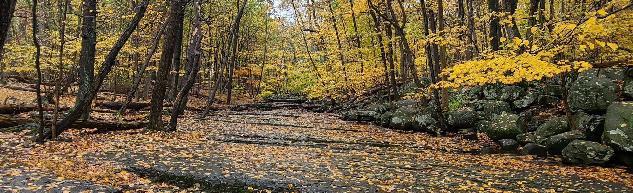 Ringing Rocks Ramble: 582 Reviews, Map - Pennsylvania | AllTrails