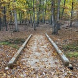 Hal and Berni Hanson Park Loop, Virginia - 104 Reviews, Map | AllTrails