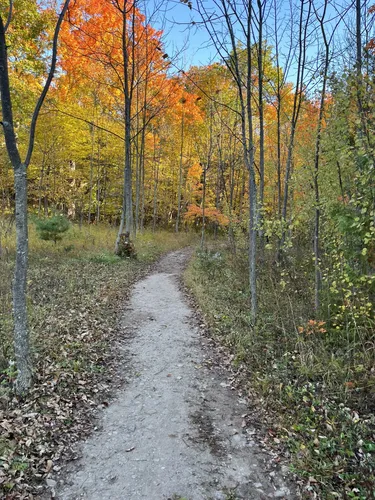 10 Best Trails and Hikes in Peterborough | AllTrails