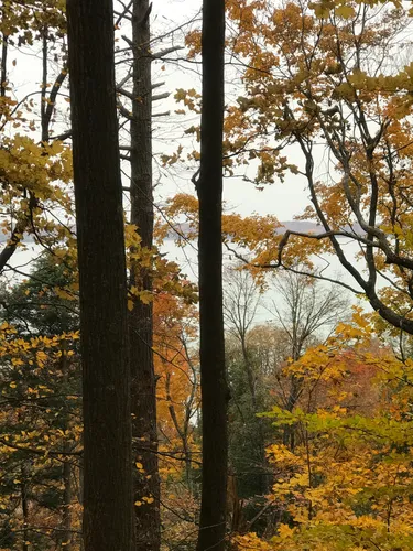 Best Hikes and Trails in Coy Mountain Preserve | AllTrails