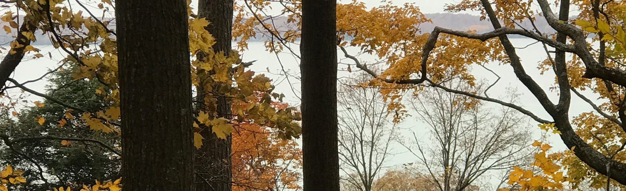 Coy Mountain Preserve Trail, Michigan - 21 Reviews, Map | AllTrails