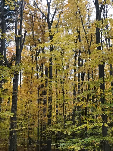 Best Hikes and Trails in Coy Mountain Preserve | AllTrails