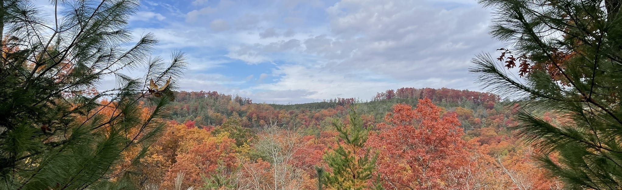 Koomer Ridge and Rough Trail Loop, Kentucky - 156 Reviews, Map | AllTrails