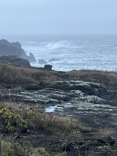 Best Hikes and Trails in Boiler Bay State Scenic Viewpoint | AllTrails
