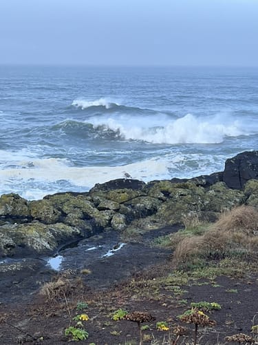Best Hikes and Trails in Boiler Bay State Scenic Viewpoint | AllTrails