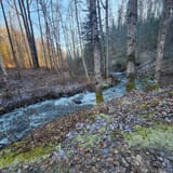 Scout Ridge Trail, Alaska - 280 Reviews, Map | AllTrails