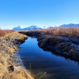 Scout Ridge Trail, Alaska - 280 Reviews, Map | AllTrails