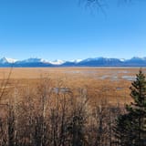 Scout Ridge Trail, Alaska - 280 Reviews, Map | AllTrails