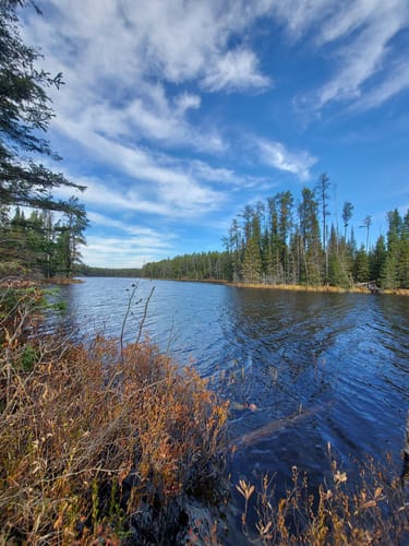 Best Hikes and Trails in Halfway Lake Provincial Park | AllTrails