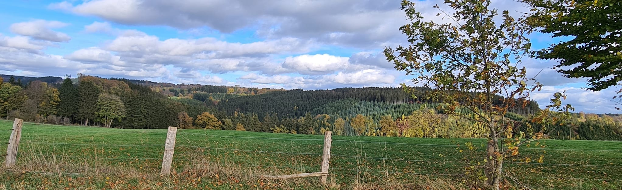 Baronheid - Longfaye, Liège, Belgium - Map, Guide | AllTrails
