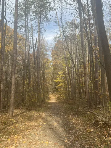 10 Best Hikes and Trails in South Chagrin Reservation | AllTrails