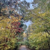 Whitney Spur Bikeway to Wompatuck Bikeway, Massachusetts - 471 Reviews ...
