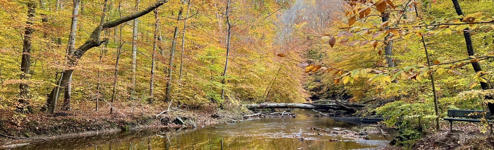 Ridley Creek Full White Trail Loop, Pennsylvania - 3,034 Reviews, Map ...