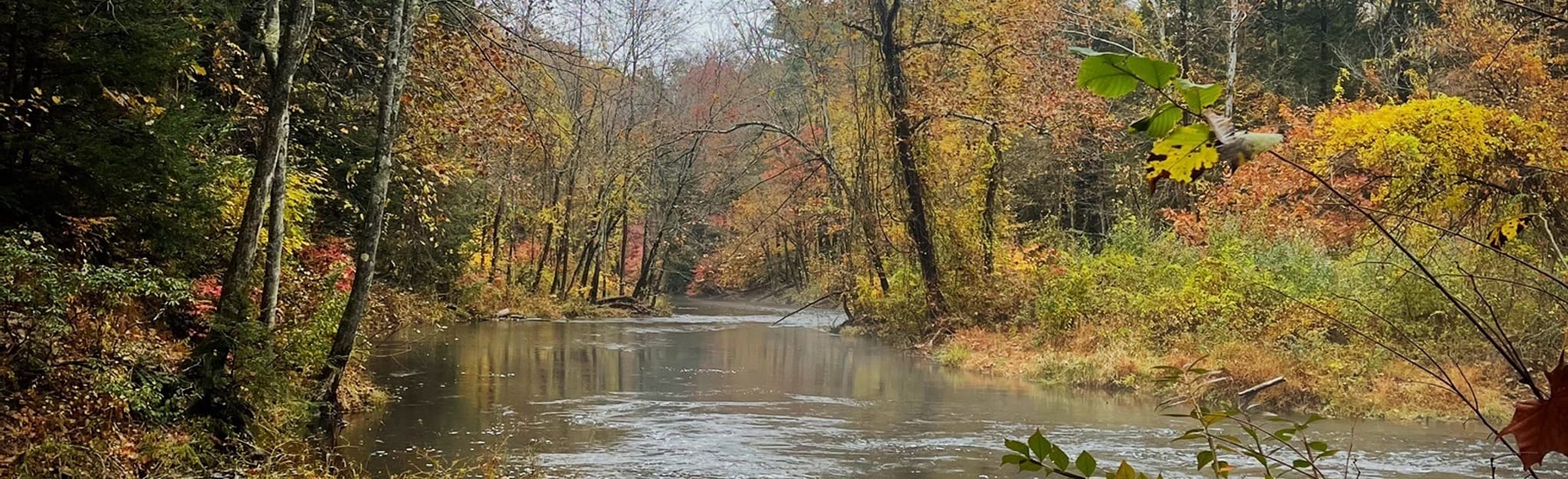 Scantic Rapids Park Powder Hollow Loop, Connecticut - 332 Reviews, Map ...