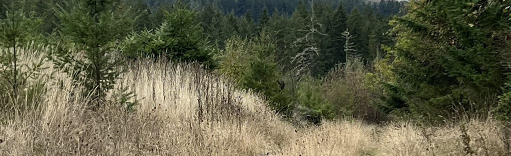 Dunn 50 70 Loop: 29 Reviews, Map - Oregon | AllTrails