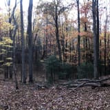 Lost Cove Trail, North Carolina - 212 Reviews, Map | AllTrails