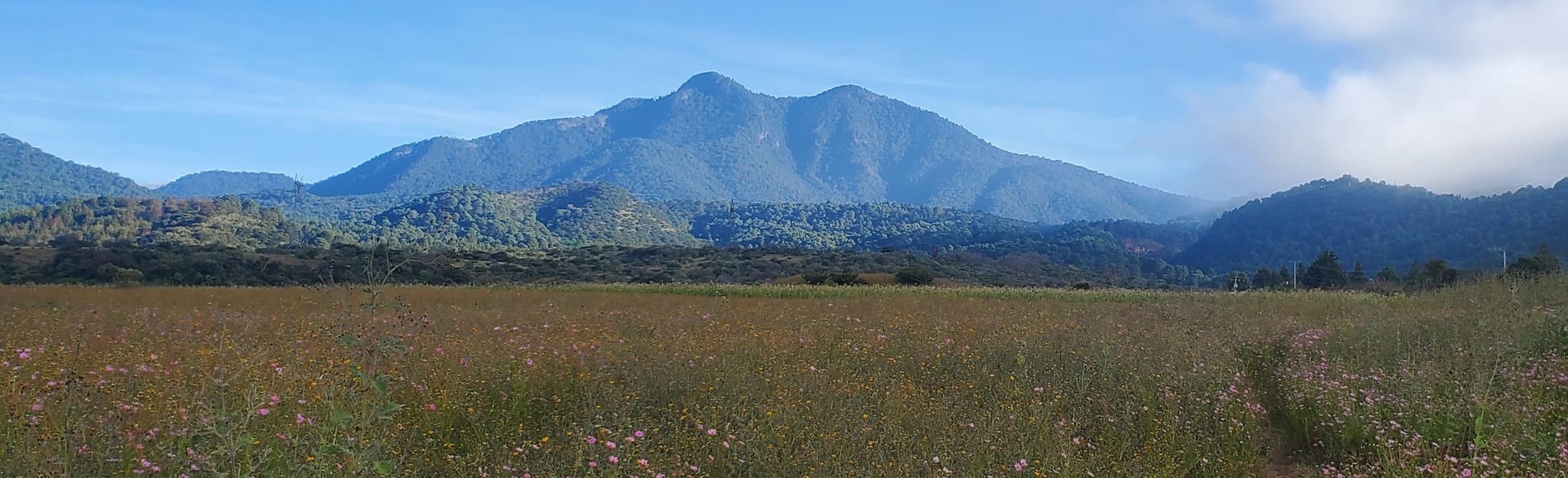 El Tzirate: 15 Reviews, Map - Michoacán, Mexico | AllTrails