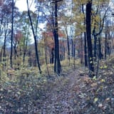 Pine Mountain State Scenic Trail: Highland Section, Kentucky - 44 ...