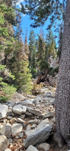 2023 Best Hard Trails in Carson-Iceberg Wilderness | AllTrails