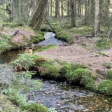 Zauberwald-Pfad - Bernau im Schwarzwald: 84 Fotos - Baden-Württemberg ...