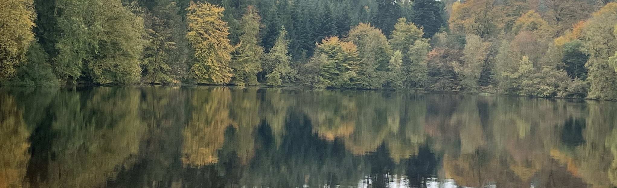 Velling Skov - Vrads Station | Map, Guide - Central Denmark, Denmark ...