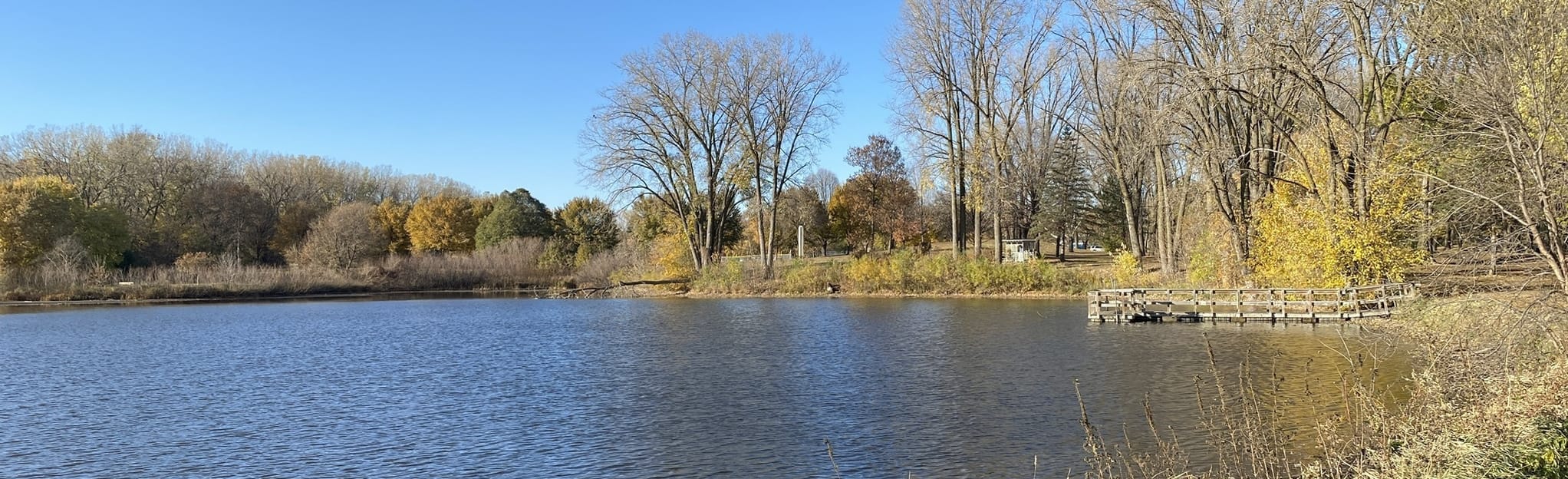 Bassett Creek Park Pond, Minnesota - 44 Reviews, Map | AllTrails