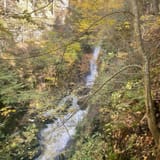 Bushkill Falls Red Trail, Pennsylvania - 536 Reviews, Map | AllTrails