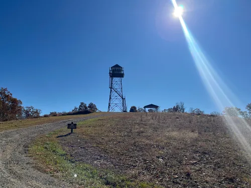 Best Hikes and Trails in Seneca State Forest | AllTrails