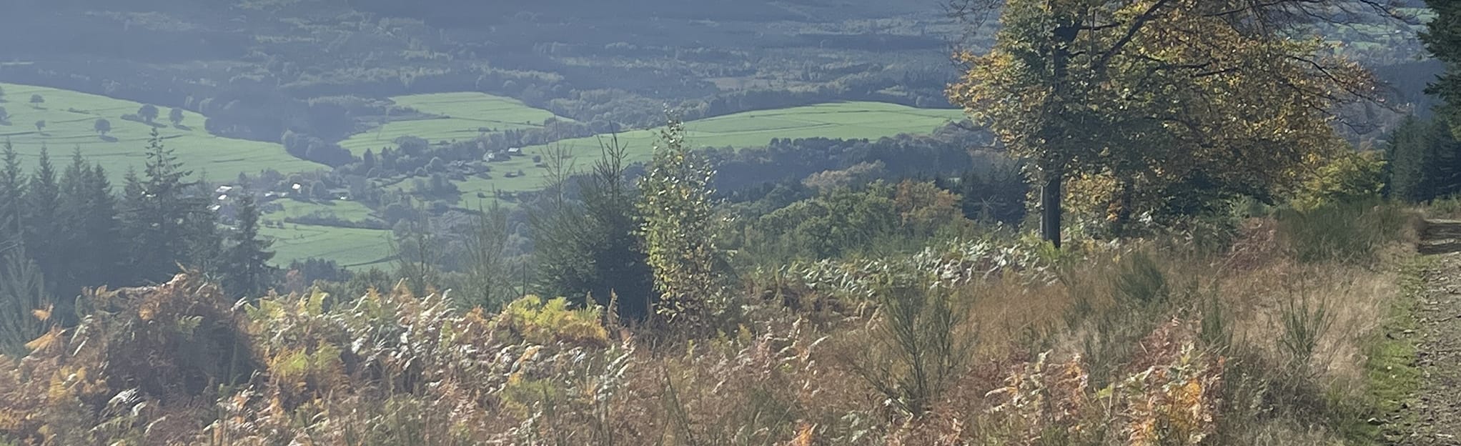 Stoumont - Ville au Bois : 130 photos - Province de Liège, Belgique ...