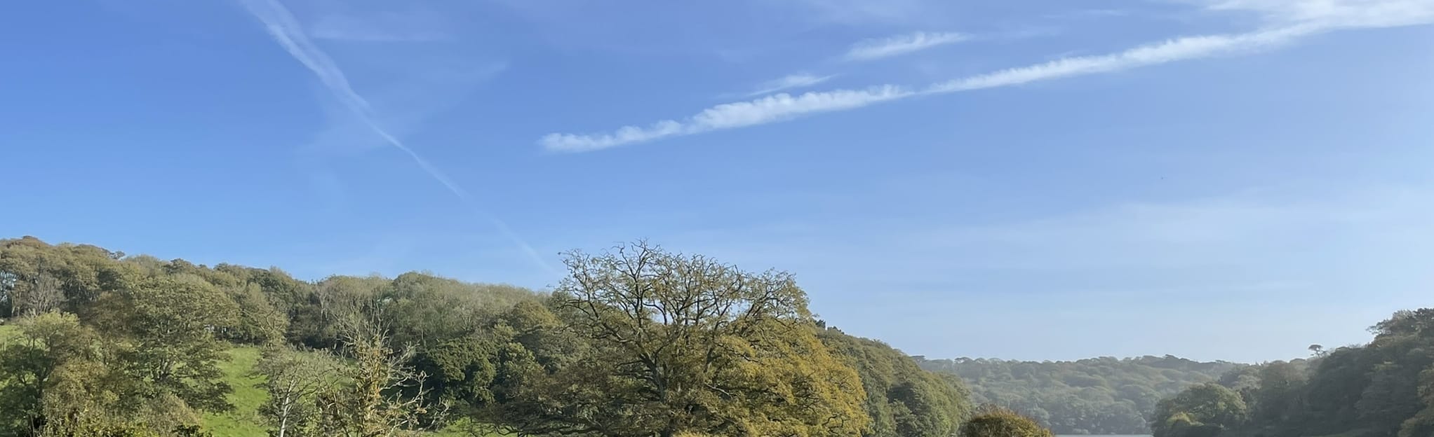 Penrose Loop , Cornwall, England - 64 Reviews, Map | AllTrails