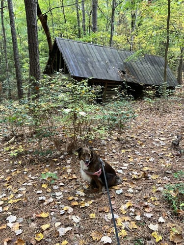 Best Hikes and Trails in Buck Spring Plantation | AllTrails