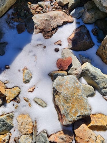 Best Hikes and Trails in Mono City | AllTrails