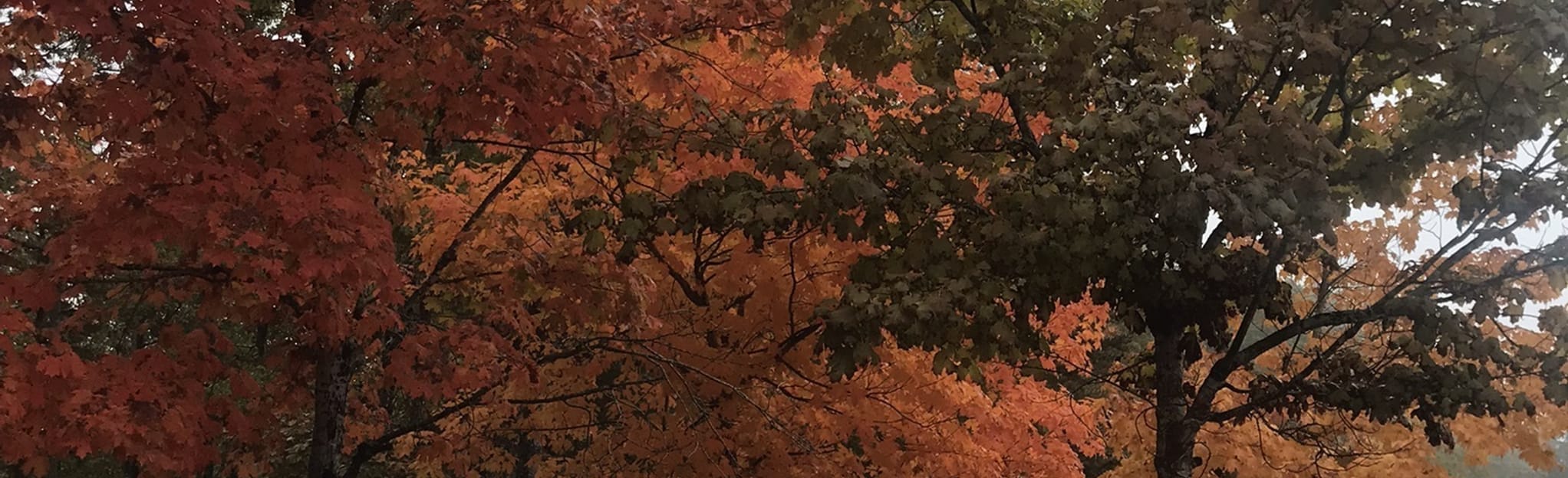 Lower Forge and Mullica River Camps: 38 Reviews, Map - New Jersey ...