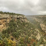 Cliff Palace Loop Trail, Colorado - 299 Reviews, Map | AllTrails