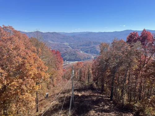 Best Hikes and Trails in Cherokee Indian Reservation | AllTrails
