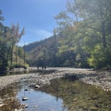 Viles Branch Equestrian Trail, Arkansas - 22 Reviews, Map | AllTrails