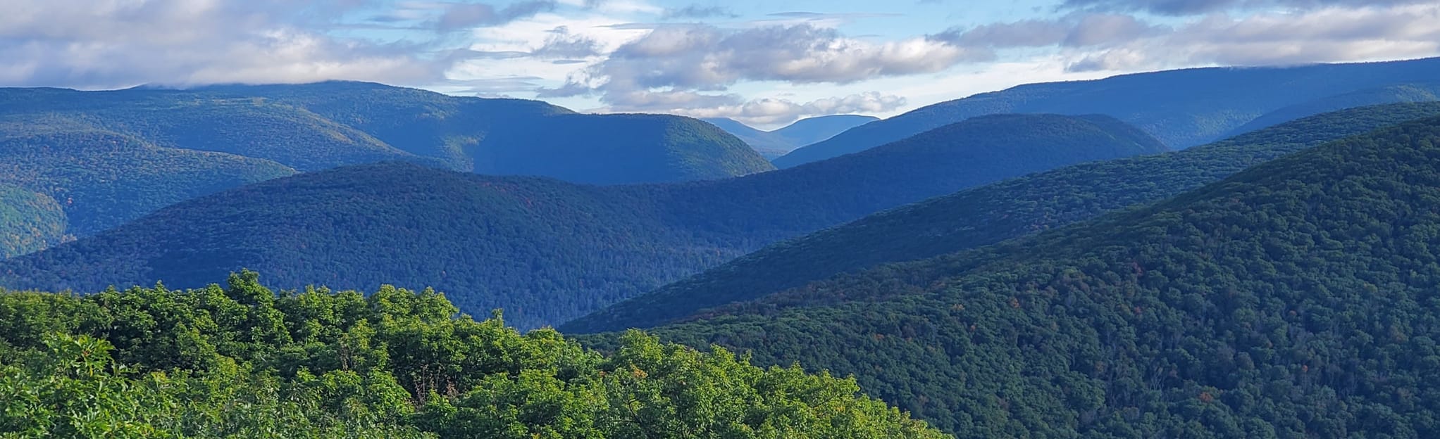 Mount Tremper Trail, New York - 1,448 Reviews, Map | AllTrails