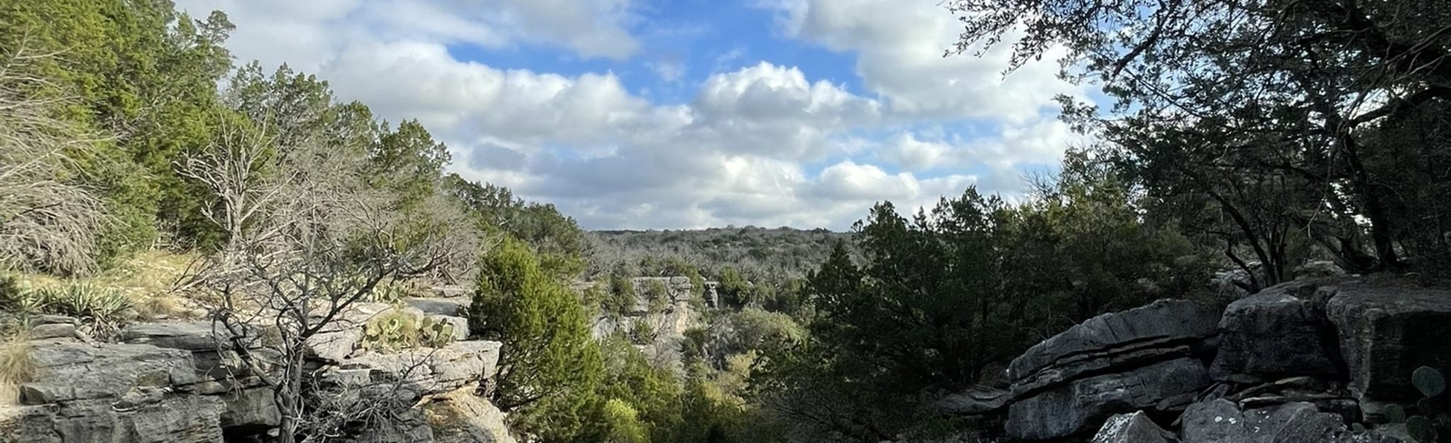 Dogleg Canyon and Cedar Chopper Loop: 13 Reviews, Map - Texas | AllTrails