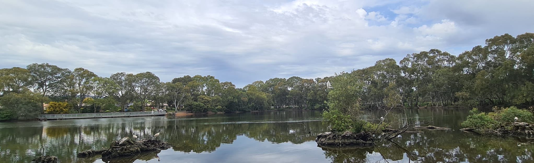 Wynn Vale Dam, South Australia, Australia - 80 Reviews, Map | AllTrails