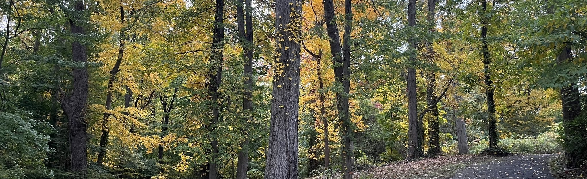 Christopher Morley Park Trail: 136 Reviews, Map - New York | AllTrails