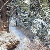 Legore Lake via Falls Creek Trail, Oregon - 35 Reviews, Map | AllTrails