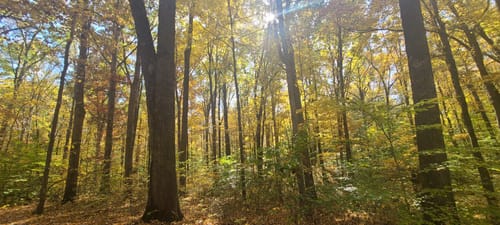 Best Hikes and Trails in Spring Mill State Park | AllTrails