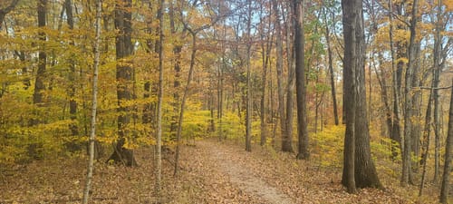Best Hikes and Trails in Spring Mill State Park | AllTrails